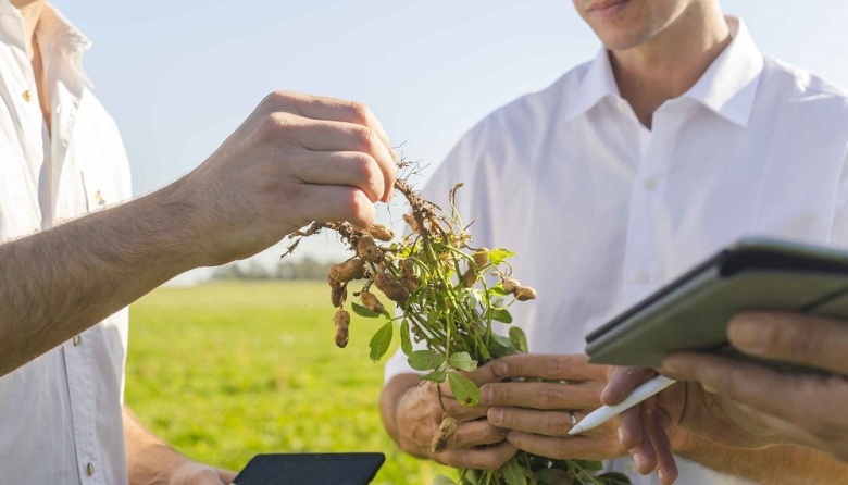 Los productores argentinos obtienen un seis en sustentabilidad, según ...