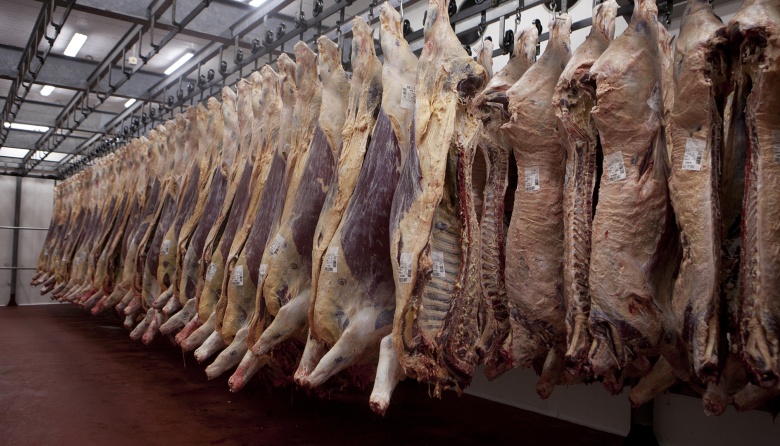 La faena bovina de abril fue de 1,17 millones de cabezas - Agro Bonaerense