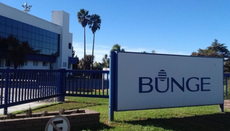 Bunge y Viterra exportaron el 34% de aceite y harina del país en 2022 ...